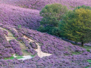 ‘Natuurlijk verder’, maar dan wel anders – Gebiedsontwikkeling.nu