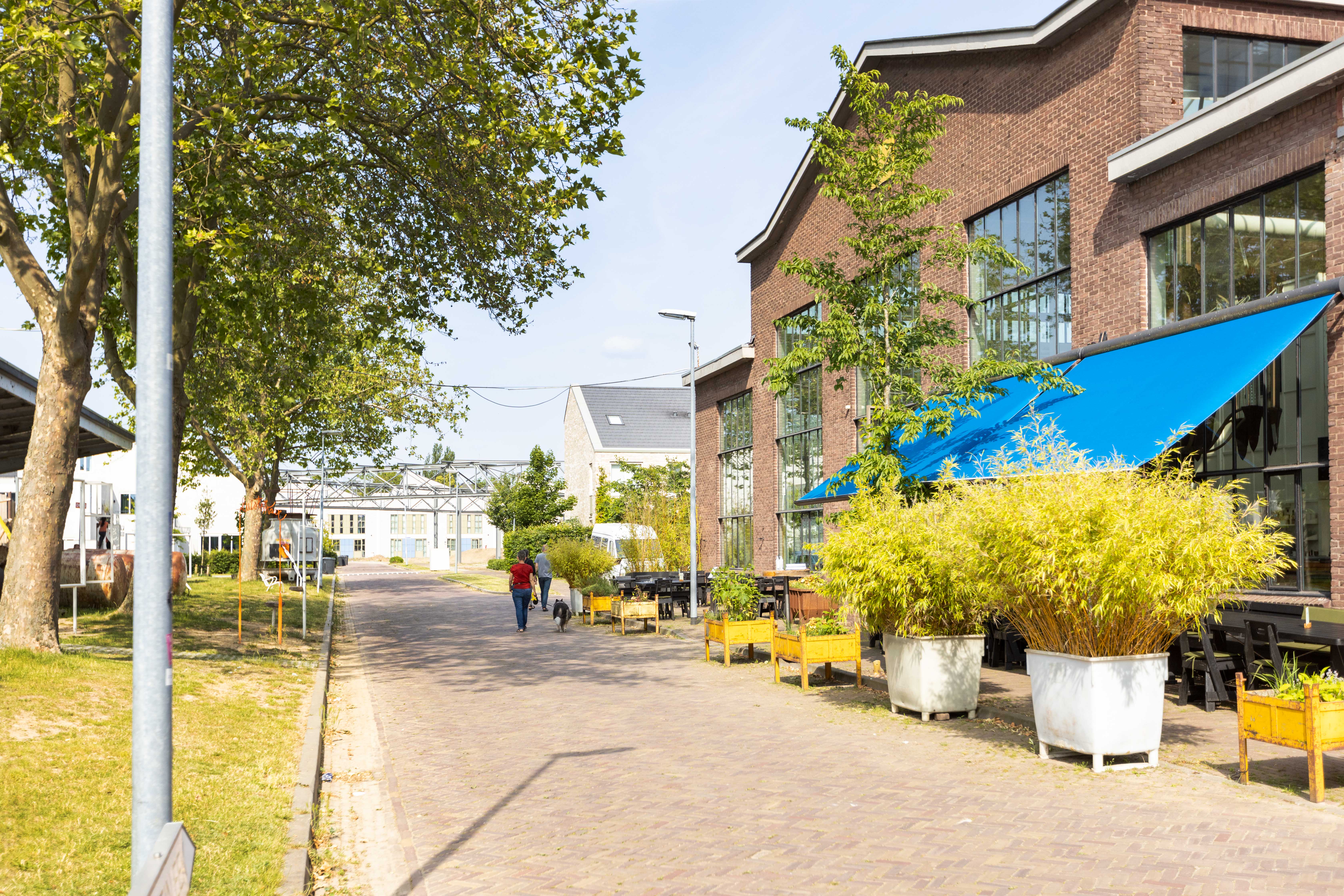 Cultuur & GO #7: De creatieve kracht achter het succes van Strijp R ...