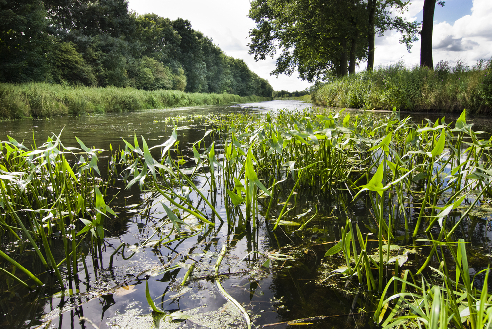 Schone, gezonde en veilige leefomgeving vraagt nú om krachtig beleid ...