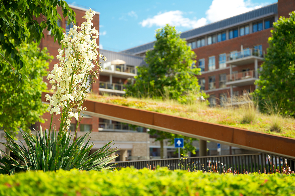 Achter de schermen bij de nieuwe groenblauwe Landelijke Maatlat ...