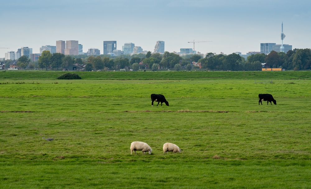 Bouwen aan de rand van de stad, het wonen wordt er nog duurder van – Gebiedsontwikkeling.nu